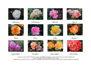 FLOWERCALENDARS.NET – Calendars for Flower Lovers