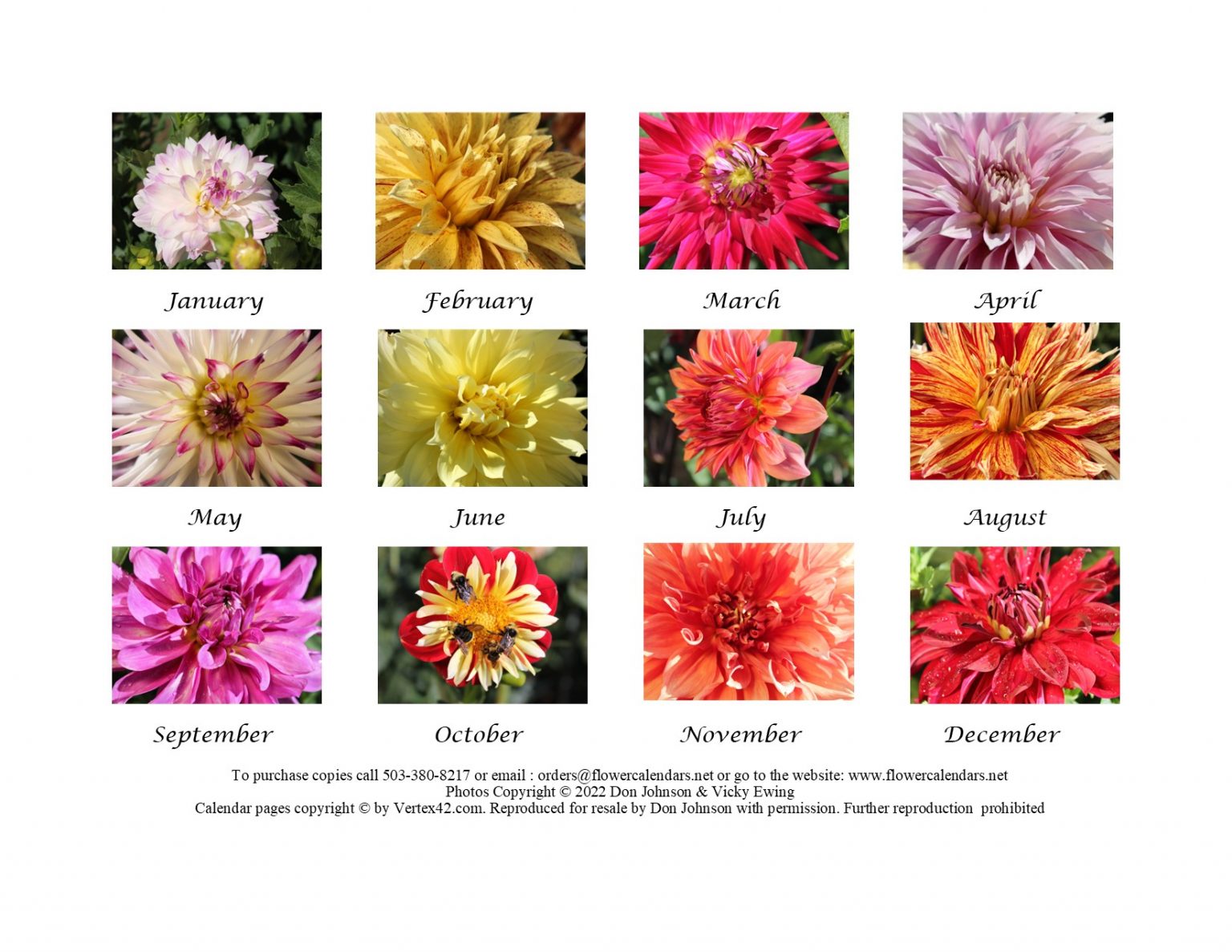 FLOWERCALENDARS.NET – Calendars for Flower Lovers