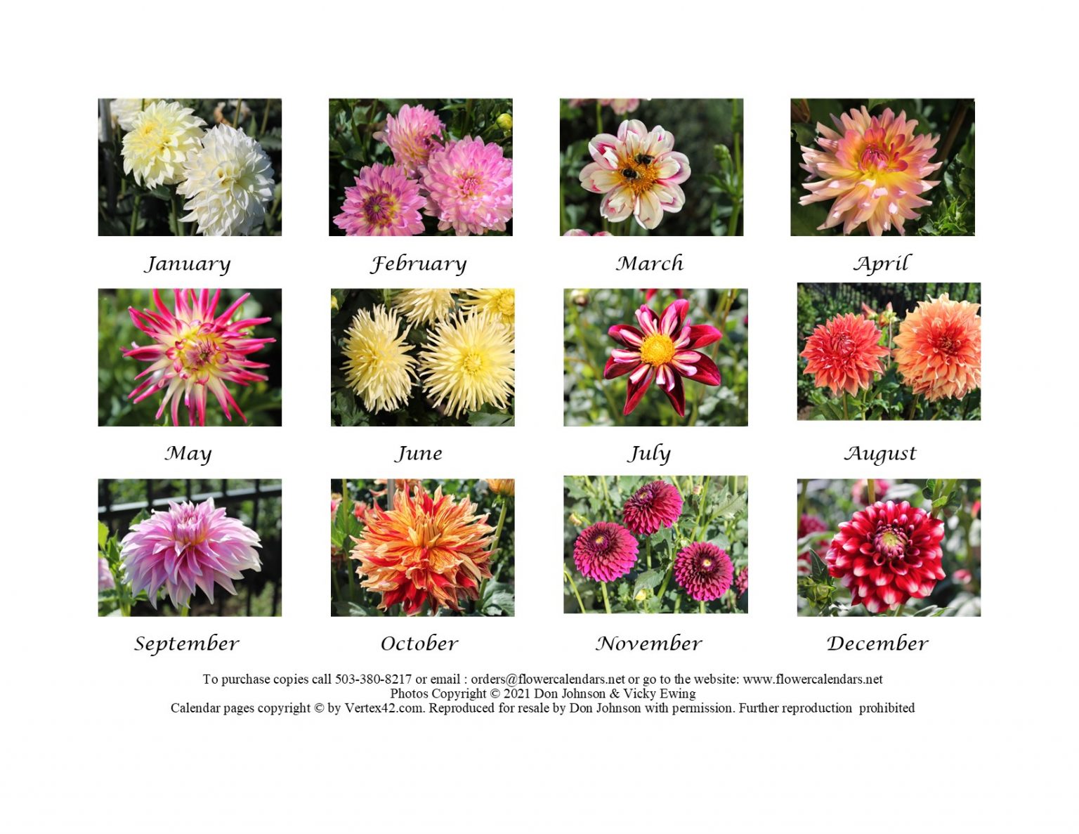 FLOWERCALENDARS.NET – Calendars for Flower Lovers